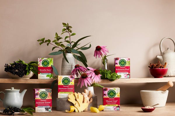 Rosy Mood™ Tea - Damiana & Butterfly Pea Flower | Traditional Medicinals