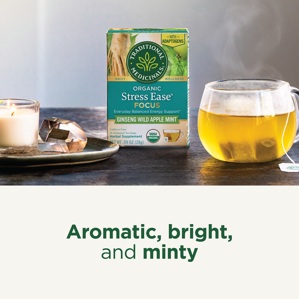 Stress Ease® Focus Tea - w/ Ginseng & Eluethero | Traditional Medicinals