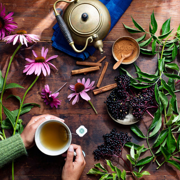 Immune Zoom® Lemon Ginger Echinacea Tea | Traditional Medicinals