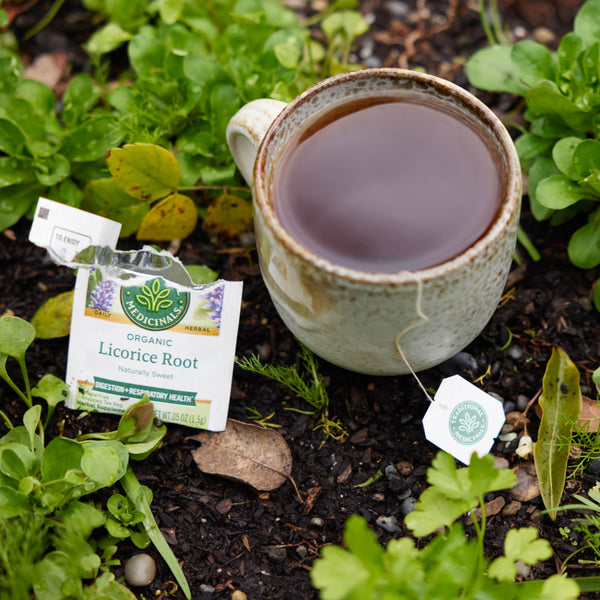 Licorice - Benefits, Folklore, Botany and More | Traditional Medicinals
