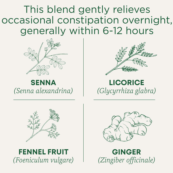 Herbal Basics: Tonics 101 | Traditional Medicinals
