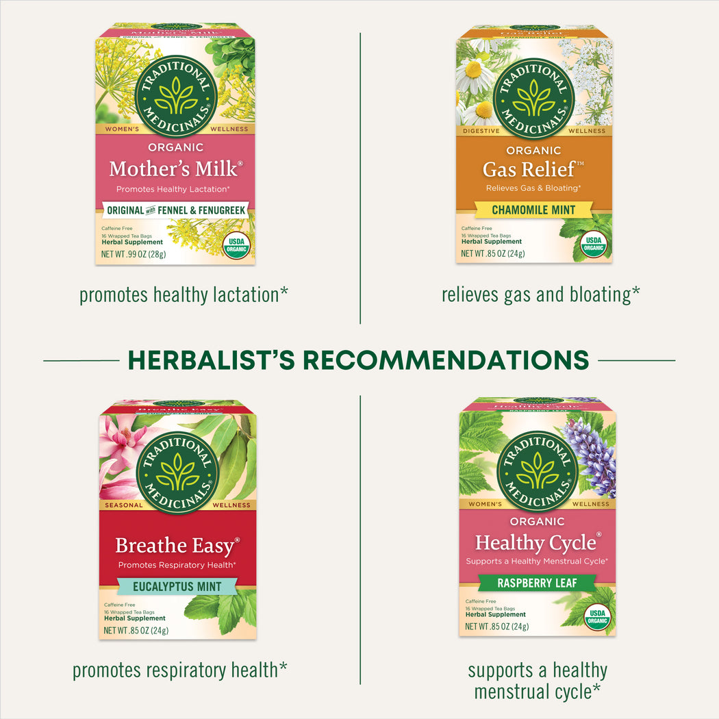 Organic Fennel Tea | Traditional Medicinals | Traditional Medicinals