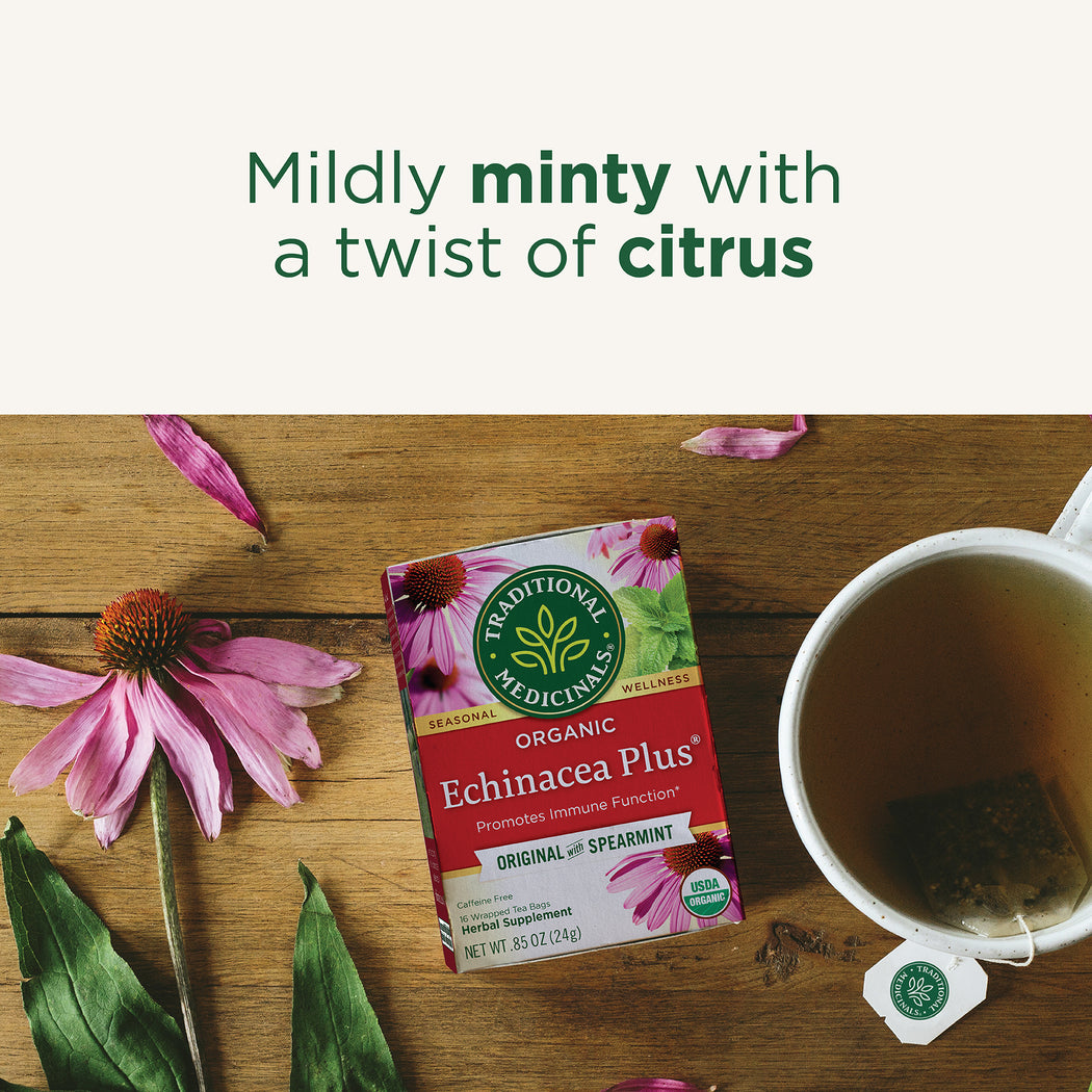 Echinacea Plus® Tea | Traditional Medicinals
