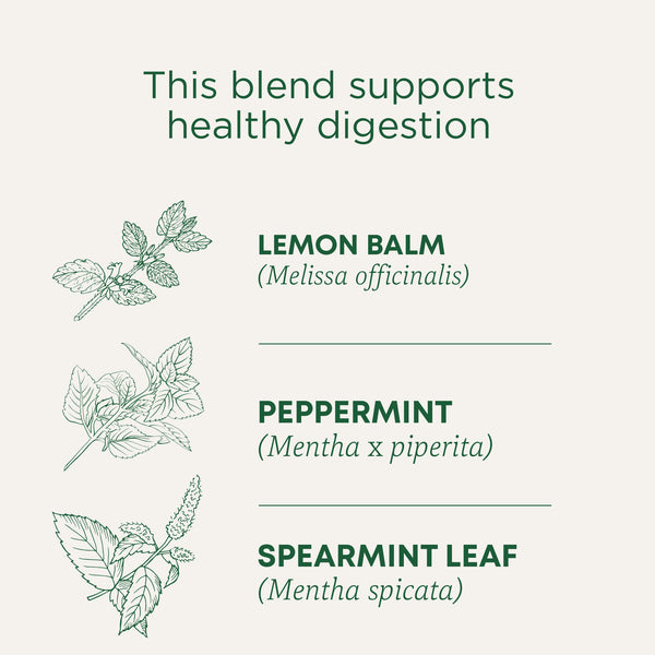 Organic Peppermint Tea | Traditional Medicinals | Traditional Medicinals