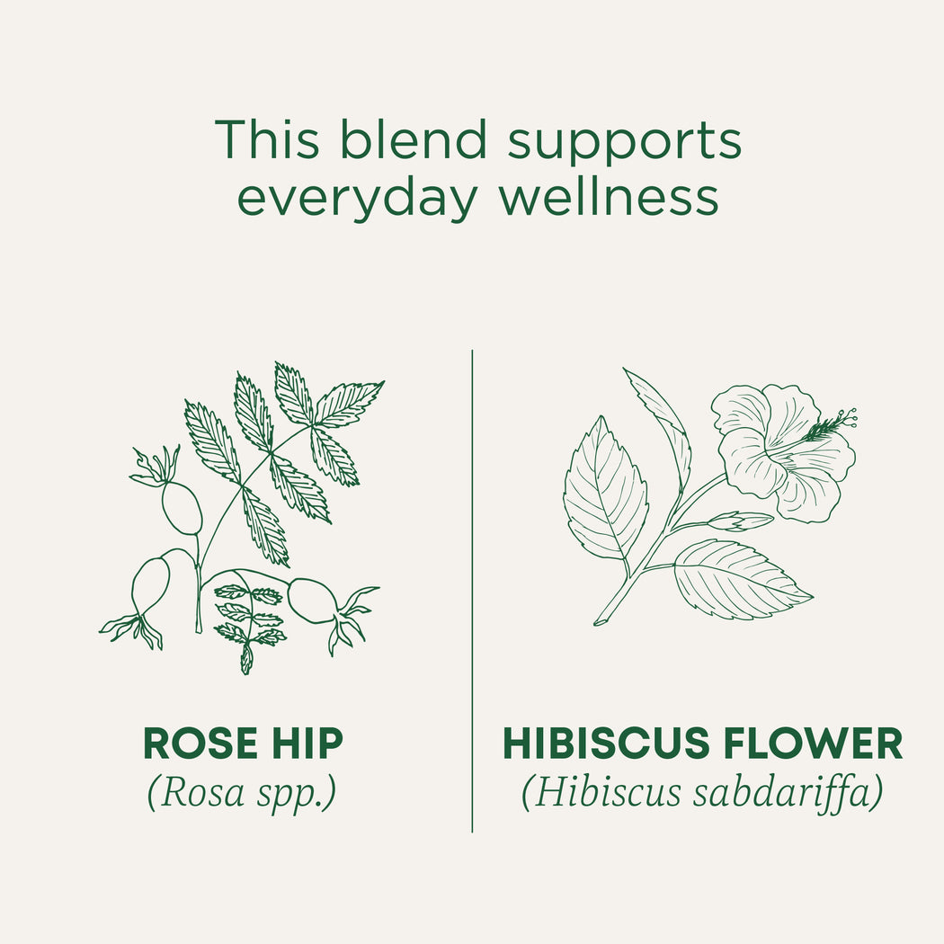 Organic Rose Hips & Hibiscus Tea | Traditional Medicinals | Traditional ...