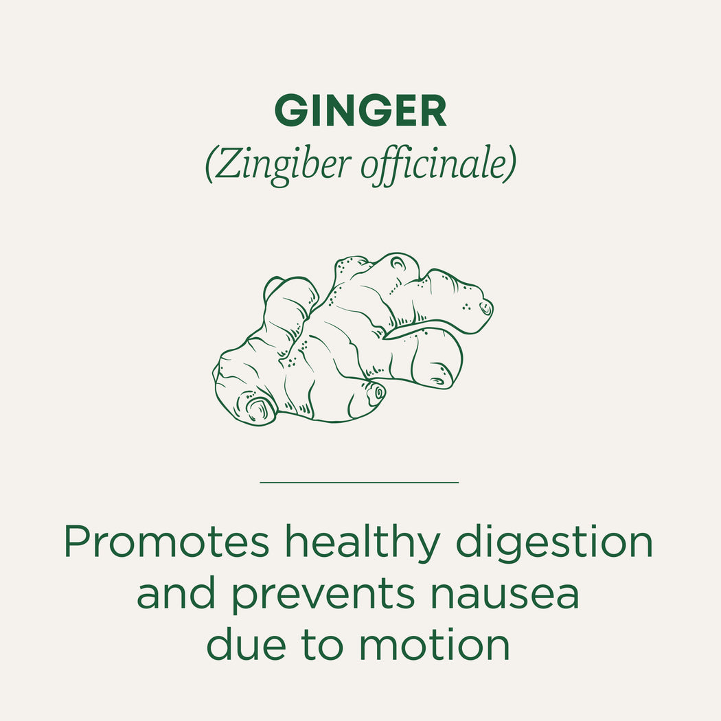 Ginger Tea | Traditional Medicinals