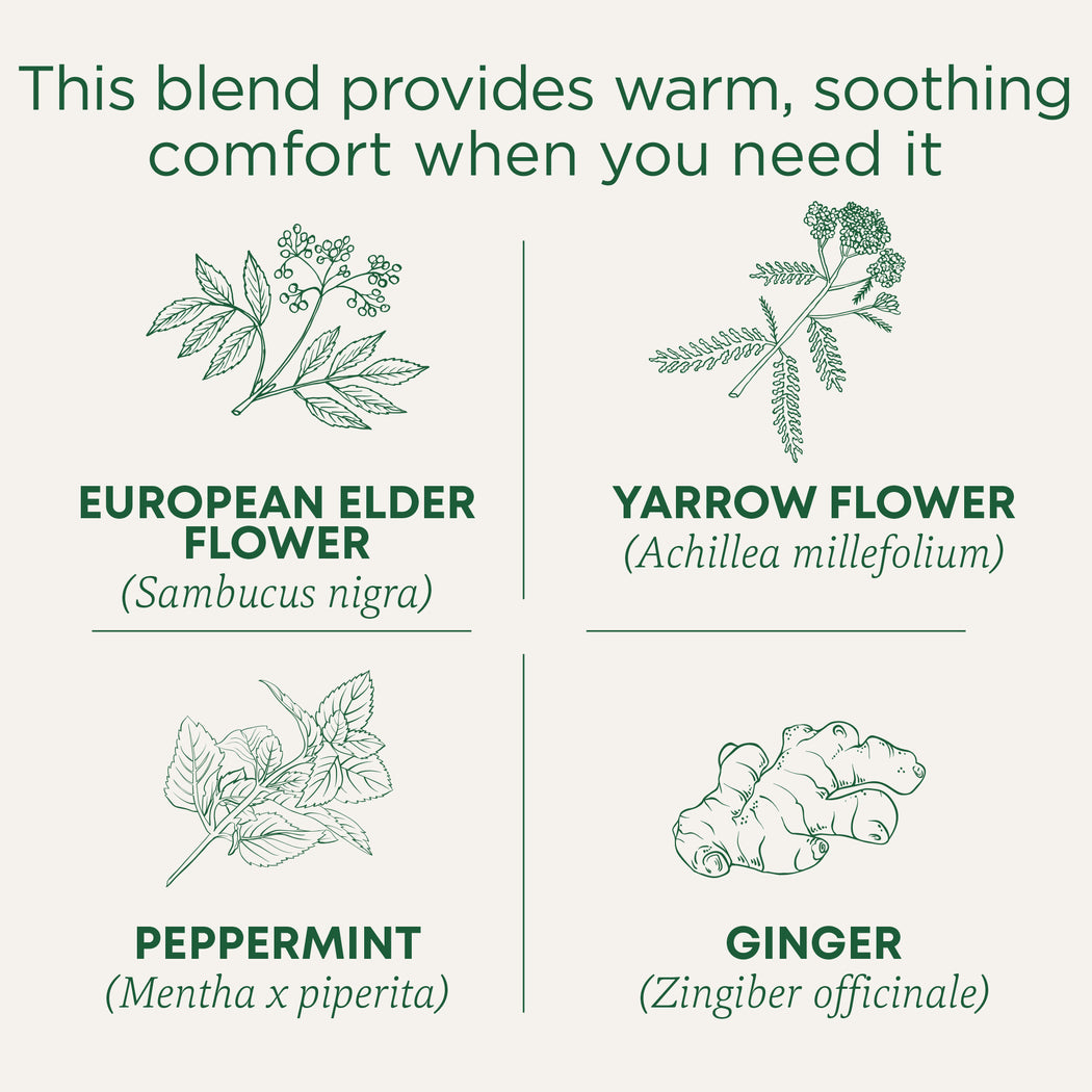 Organic Herbal Cold Care™ Tea | Traditional Medicinals
