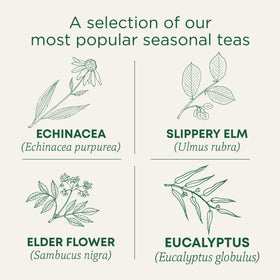 Teas | Traditional Medicinals