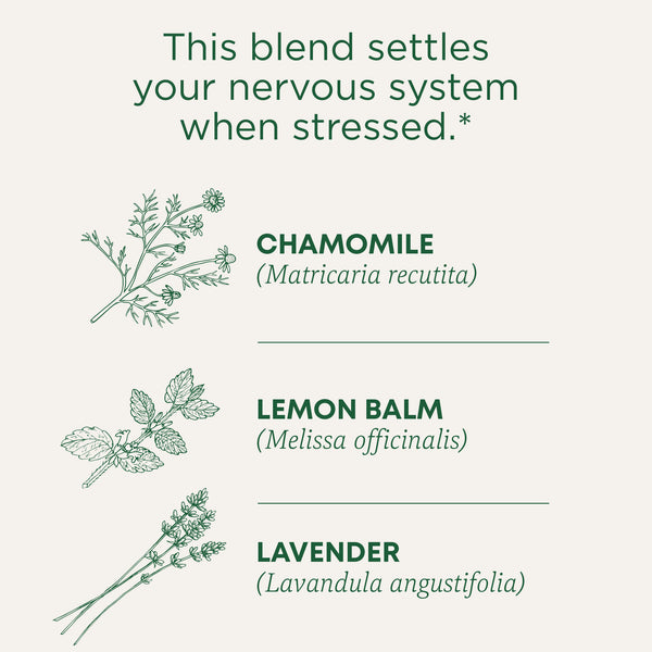Herbal Basics: Tonics 101 | Traditional Medicinals