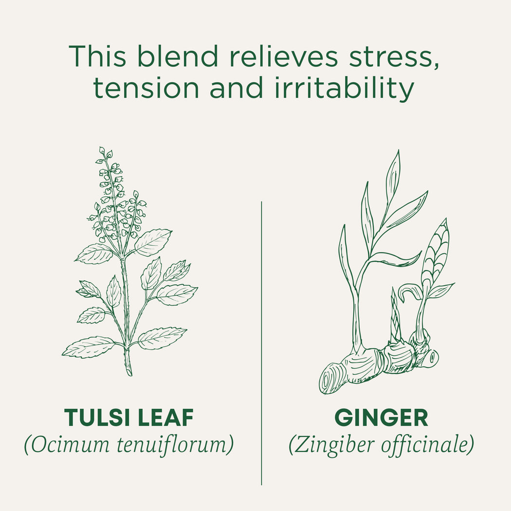 Organic Tulsi & Ginger Tea | Traditional Medicinals