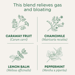 Gas Relief™ Tea | Traditional Medicinals